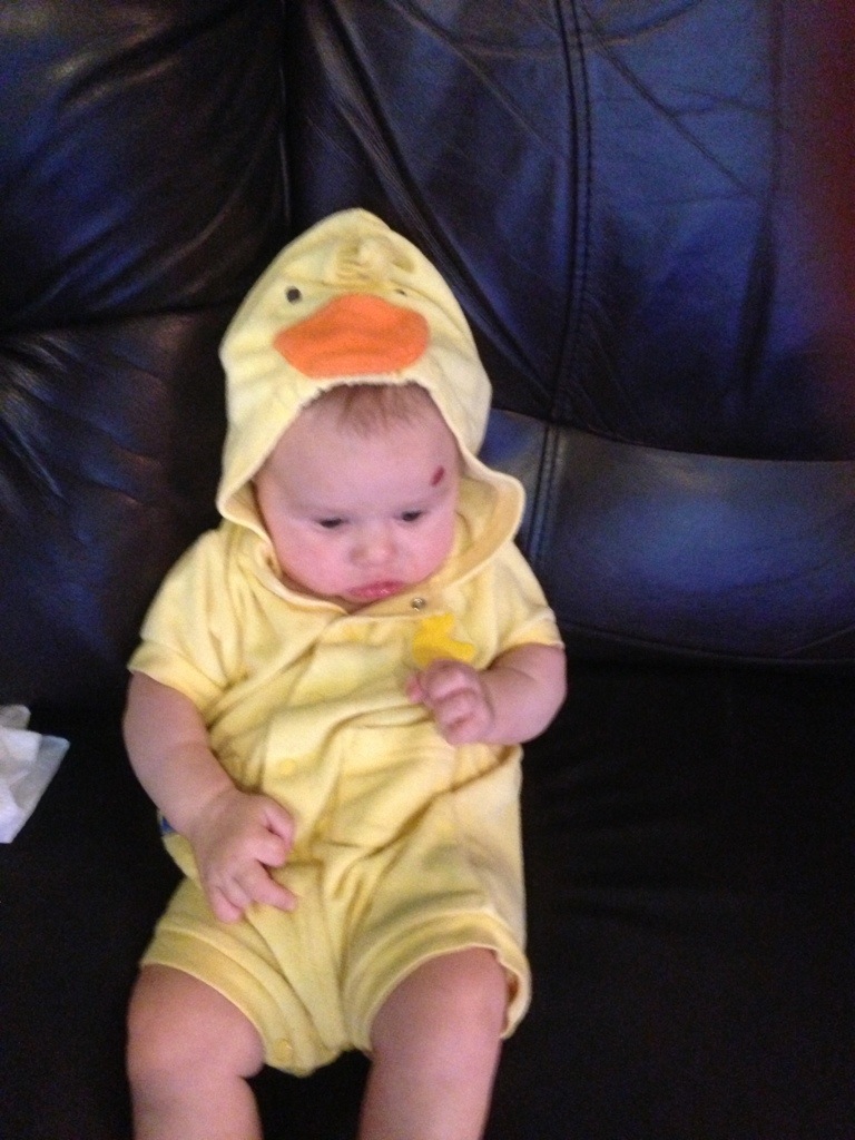 Jesse gets increasingly frustrated because he’s dressed as a duck ...